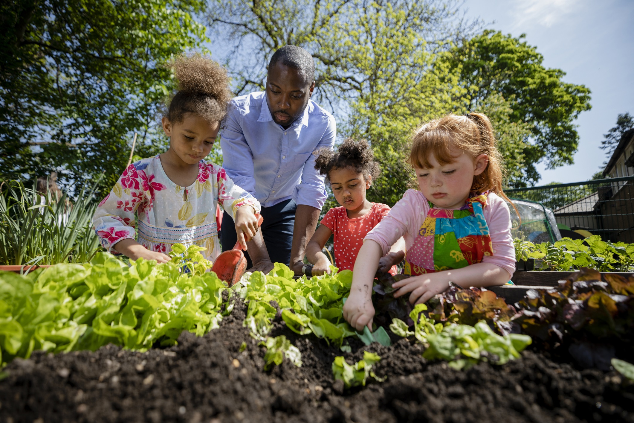 Grow a Growth Mindset
